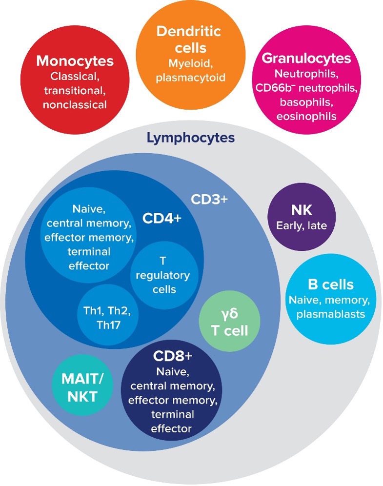 Single Cell Proteomics - CyTOF Technology - Standard BioTools
