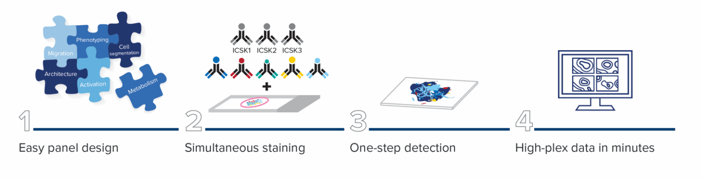 Maxpar IMC Cell Segmentation - Standard BioTools